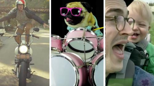WATCH: This MUST-SEE Video Of 2015’s Most AMAZING Viral Clips Will Give ...